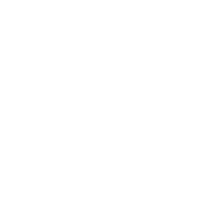 About Us | Niagara Networks