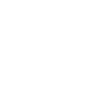 About Us | Niagara Networks